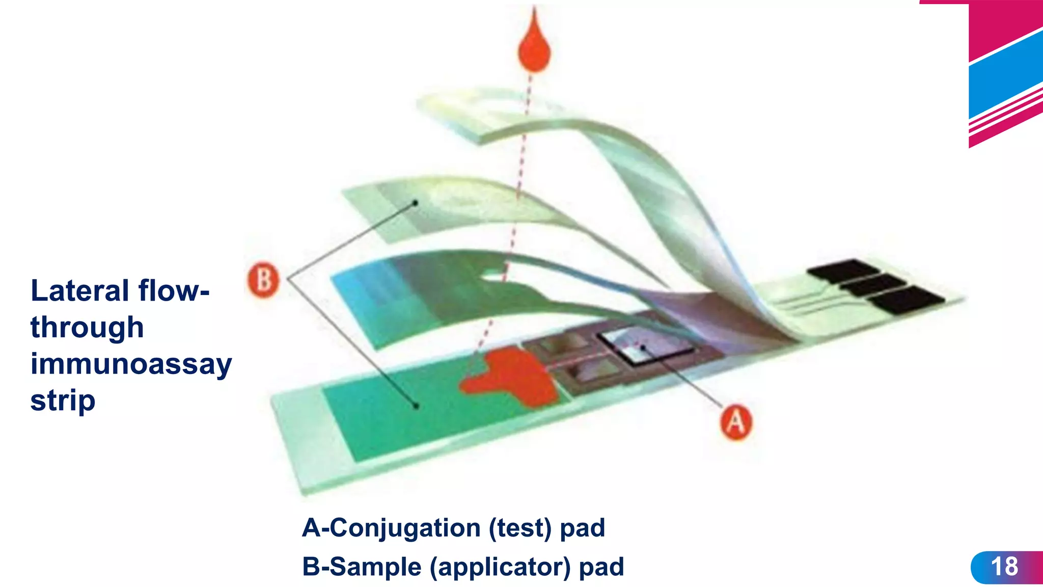 Point of care testing (POCT) | PPTX