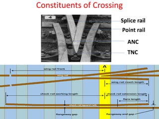 Points and crossings | PPTX