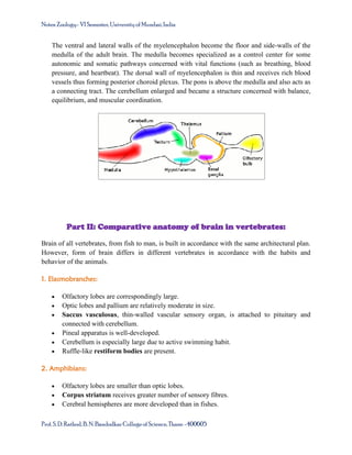 Nervous systems in vertebrates: T.Y.B.Sc. Sem VI Notes | PDF