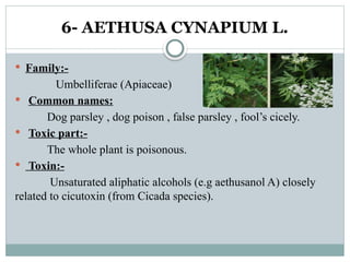 poisnous plant presentations that will be useful for the medical ...