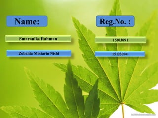 THE NARCOTICS CONTROL ACT,1990 | PPTX