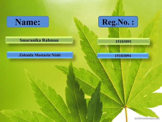 THE NARCOTICS CONTROL ACT,1990 | PPT