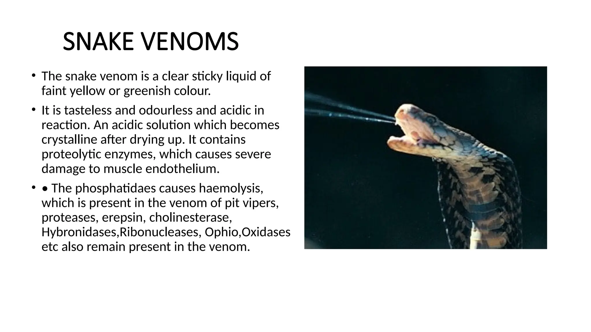Poison Apparatus and biting Mechanism of snakes.pptx