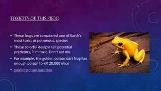Poison dart frog way of life | PPTX