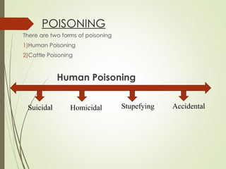 POISON Forensic Medicine By Dr.Sadia.ppt