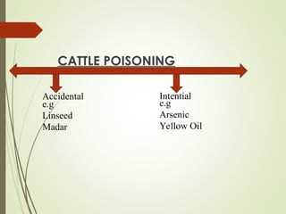 POISON Forensic Medicine By Dr.Sadia.ppt