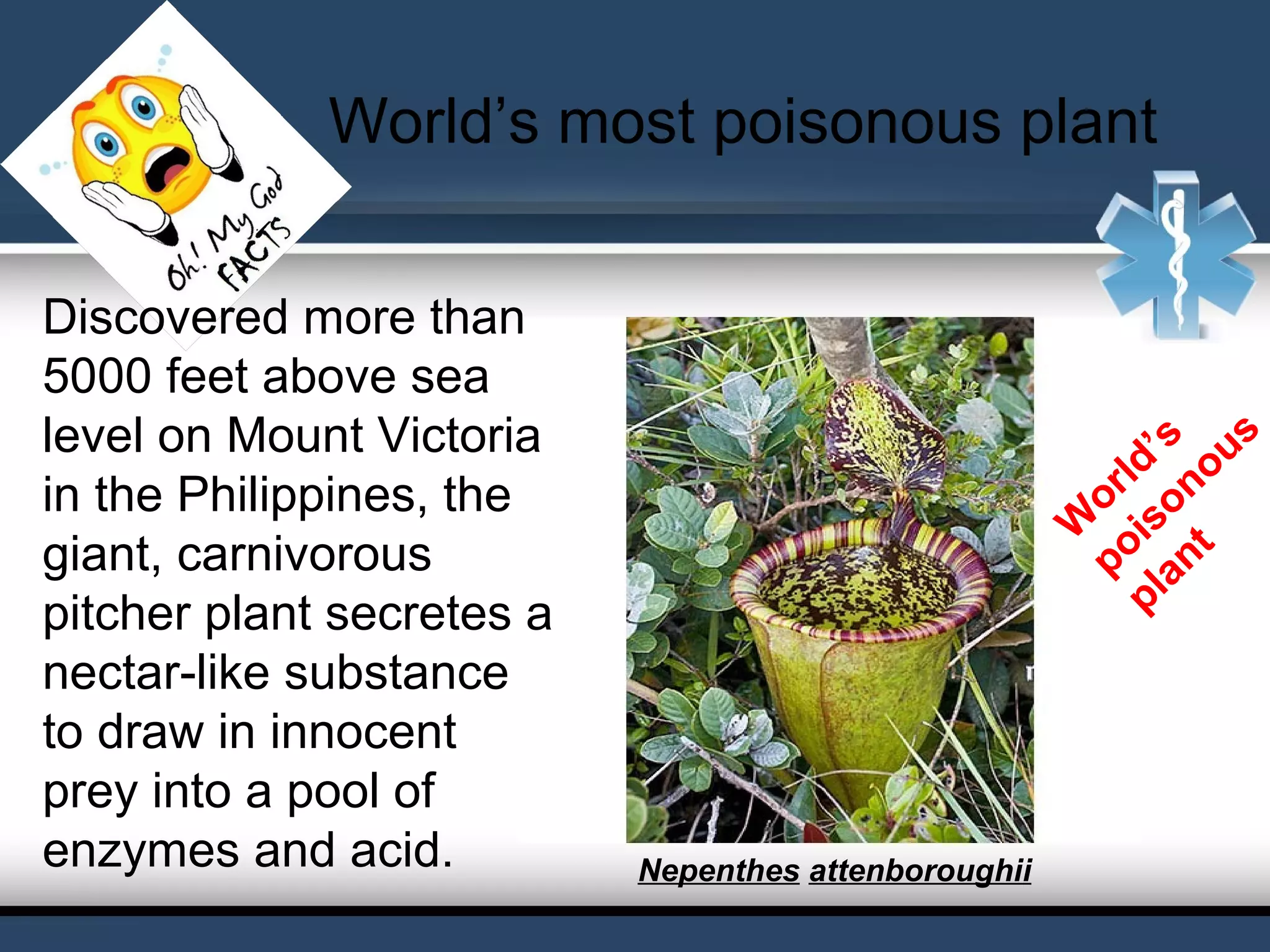 Poisoning & Its Primary Management | PPT