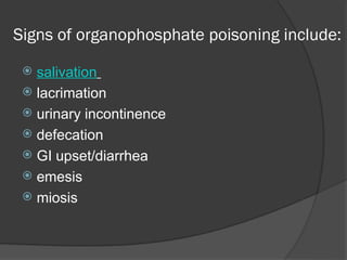 POISONING.ppthggpresatation be ready in about | PPT | Free Download