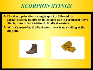 Poisoning Bites Stings Lec. | PPT