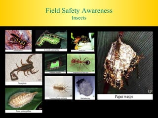 Poisoning Bites Stings Lec. | PPT