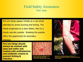 Poisoning Bites Stings Lec. | PPT