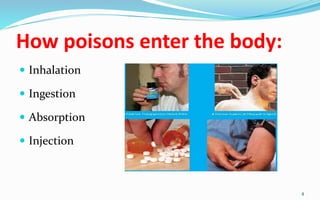 Pharmacotherapy of Toxicology & Heavy metal poisoning | PPTX