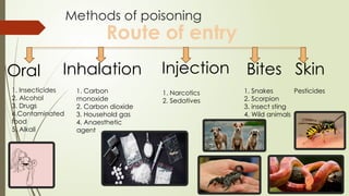 poisoning B.s.c. nursing ppt of 3rd year | PPTX
