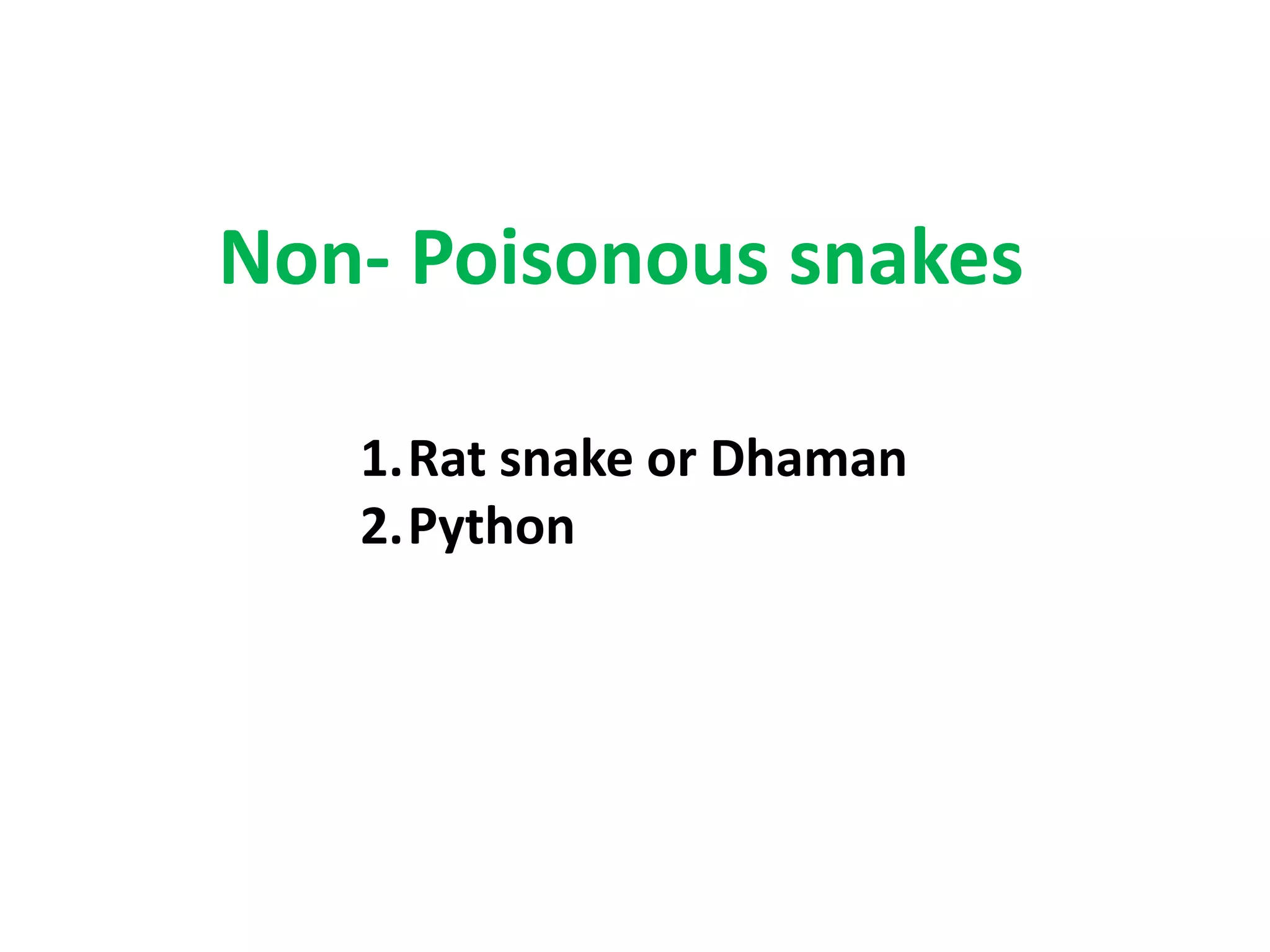 Poisonous and non poisonous snakes | PPTX