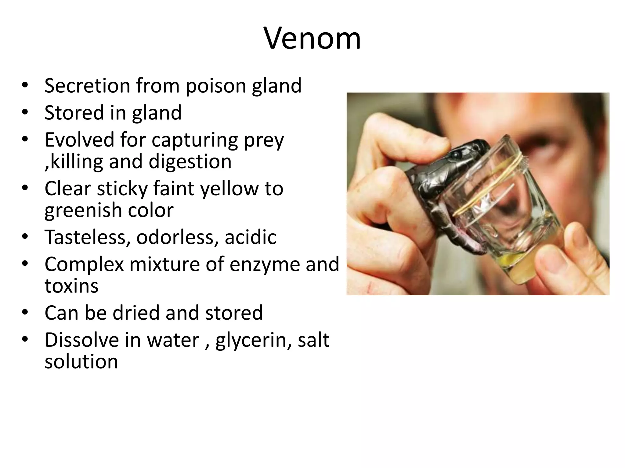 Poisonous and non poisonous snakes | PPTX