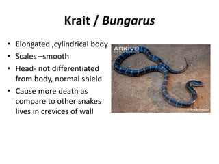 Poisonous and non poisonous snakes | PPTX