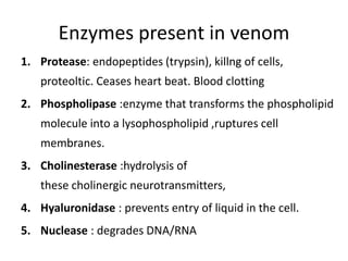 Poisonous and non poisonous snakes | PPTX