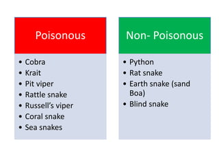 Poisonous and non poisonous snakes | PPT