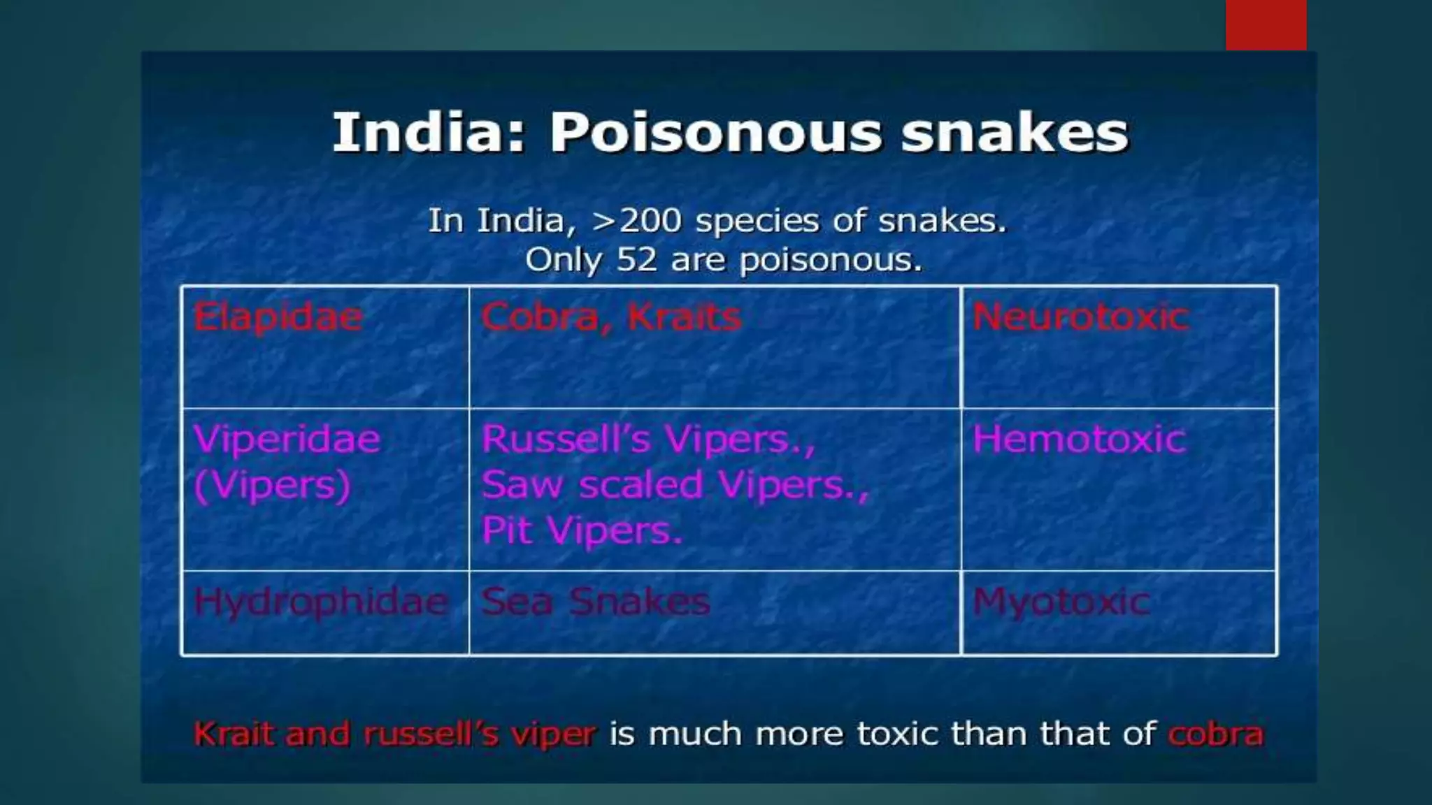 Poisonous and non poisonous snakes | PPTX