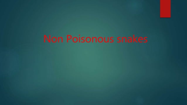 Poisonous and non poisonous snakes | PPTX | Reptiles | Pets