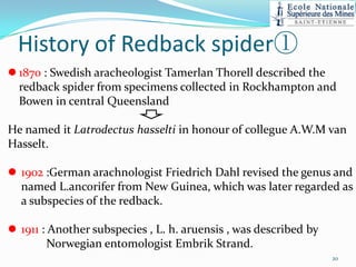 Poisonous Redback Spider | PPTX