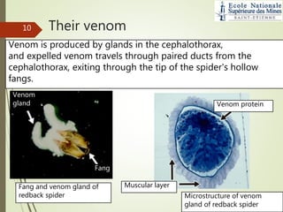 Poisonous animal | PPTX