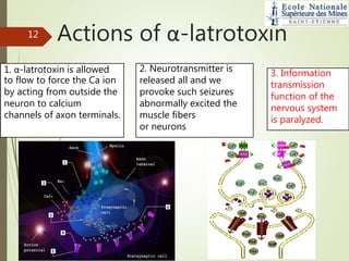 Poisonous animal | PPTX