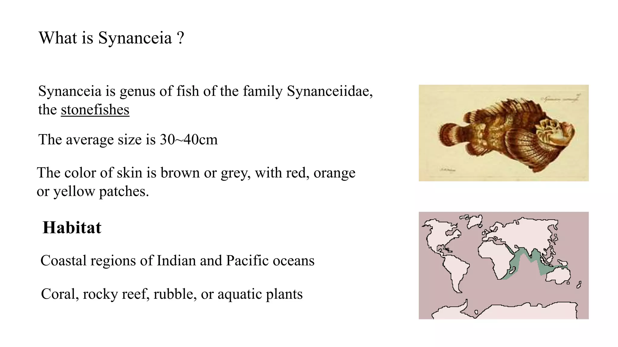 Poisonous fish | PPTX