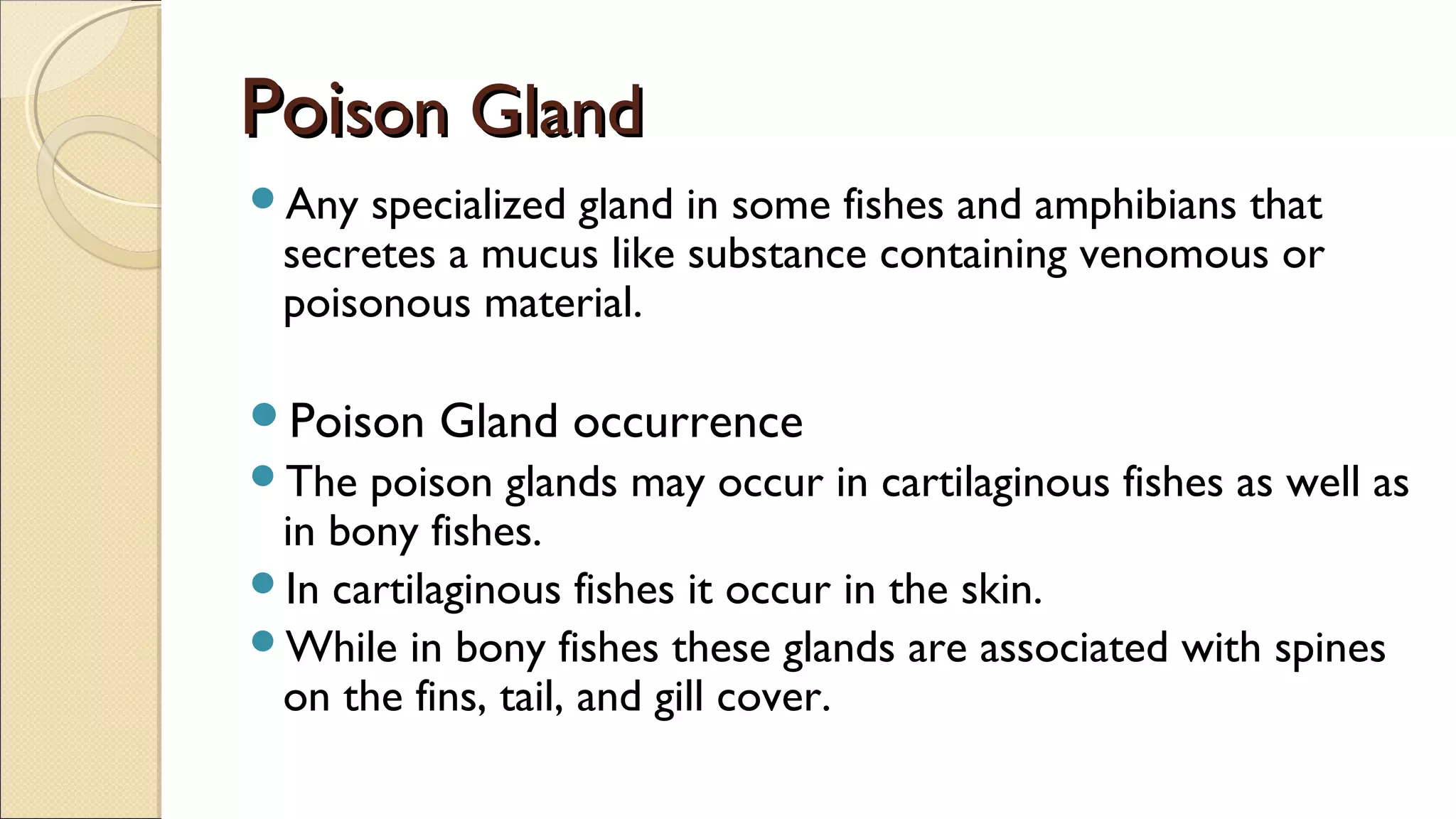Poisonous glands of fishes | PPT