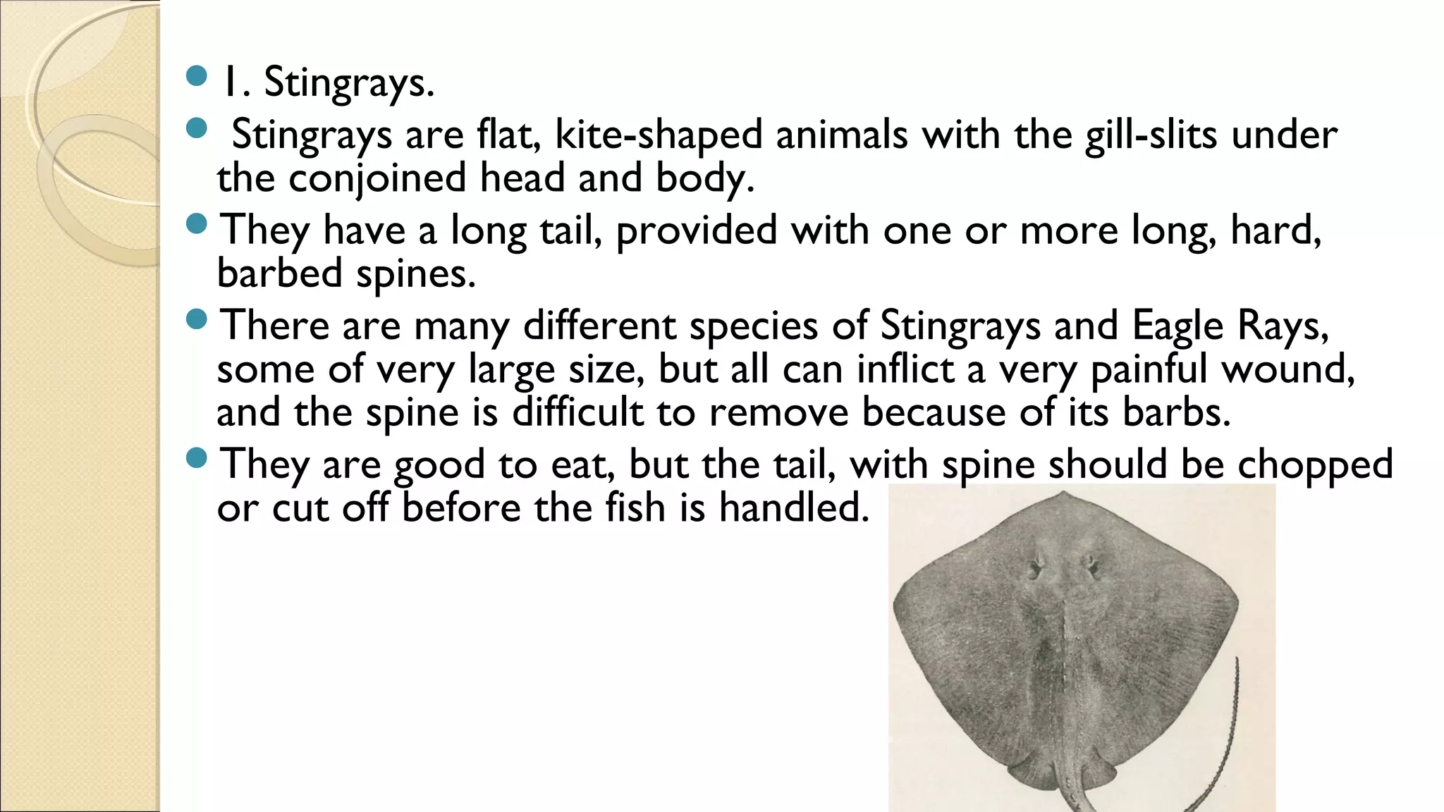 Poisonous glands of fishes | PPT