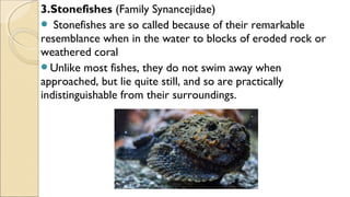 Poisonous glands of fishes | PPT