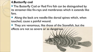 Stone Fish Poison Effects