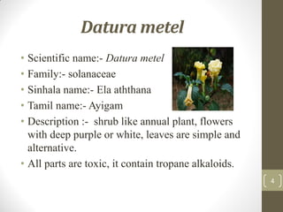 Poisonous plants in Sri Lanka | PDF