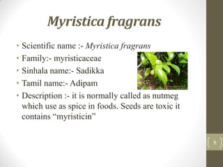 Poisonous plants in Sri Lanka | PDF