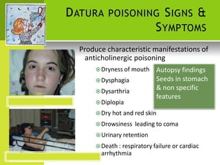 Poison plants - forensic medicine and toxicology | PDF