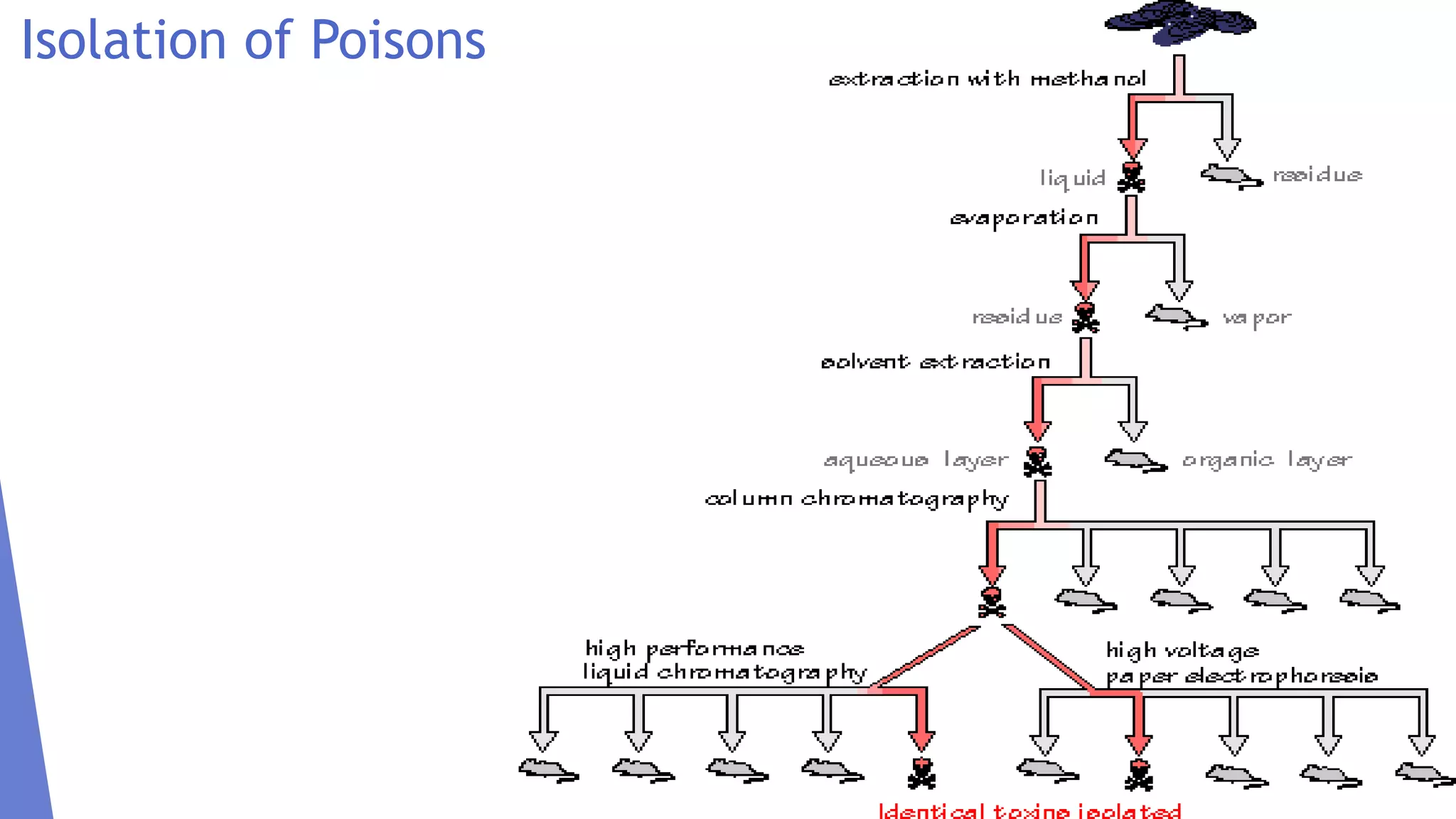 Poisons | PPTX
