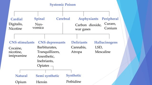 Poisons | PPTX | Chemistry | Science