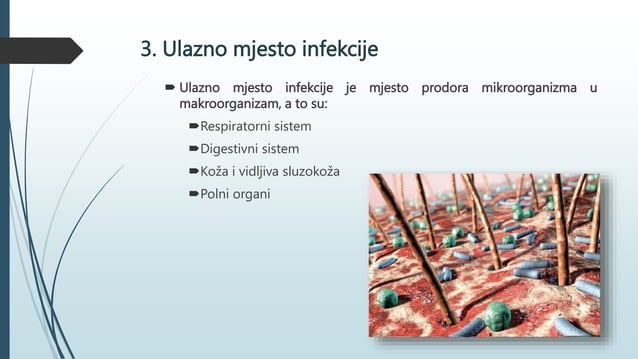 Pojam zdravlja i Vogralikov lanac Seminarski rad.pptx