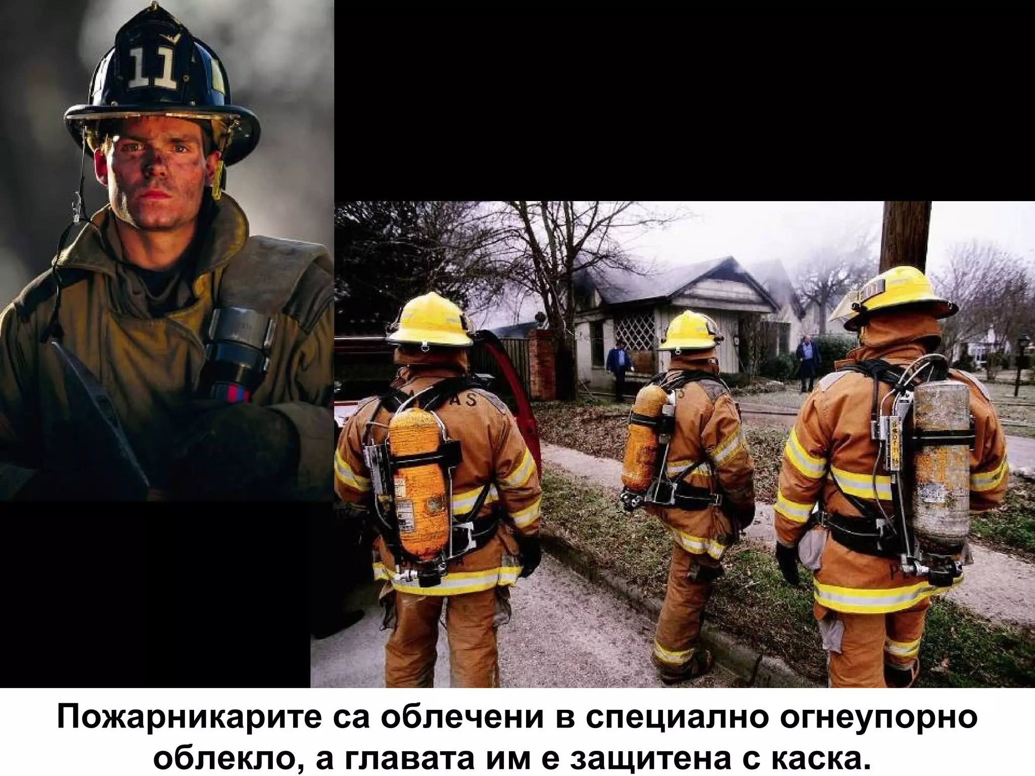 Pojar | PPT