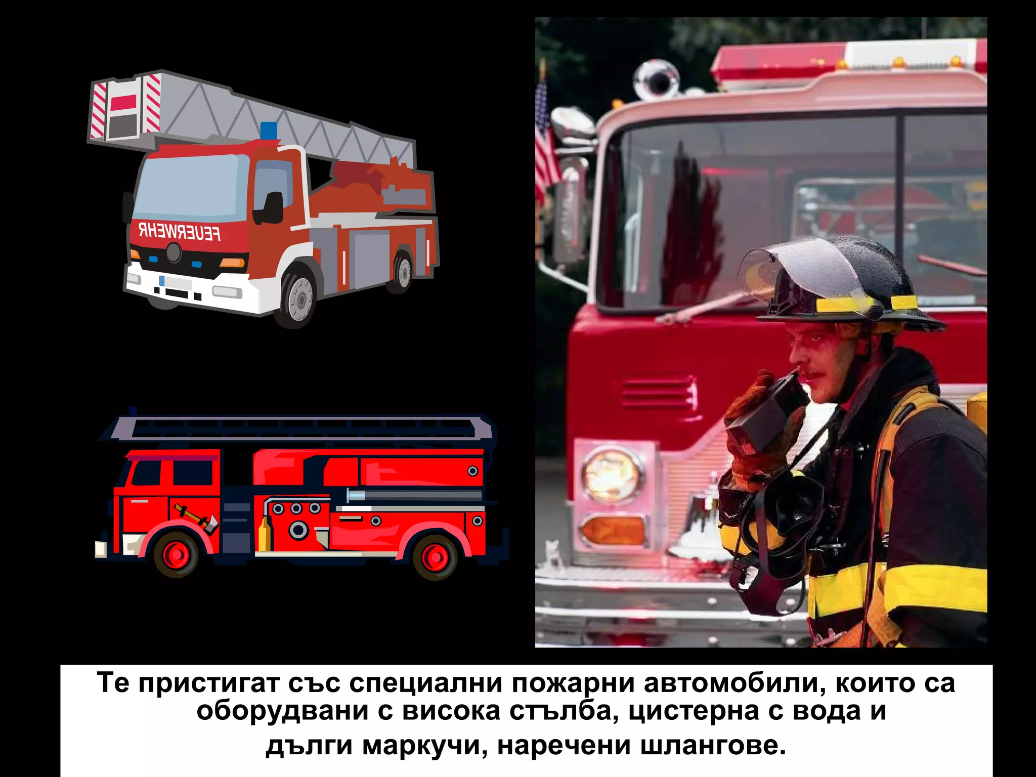 Pojar | PPT