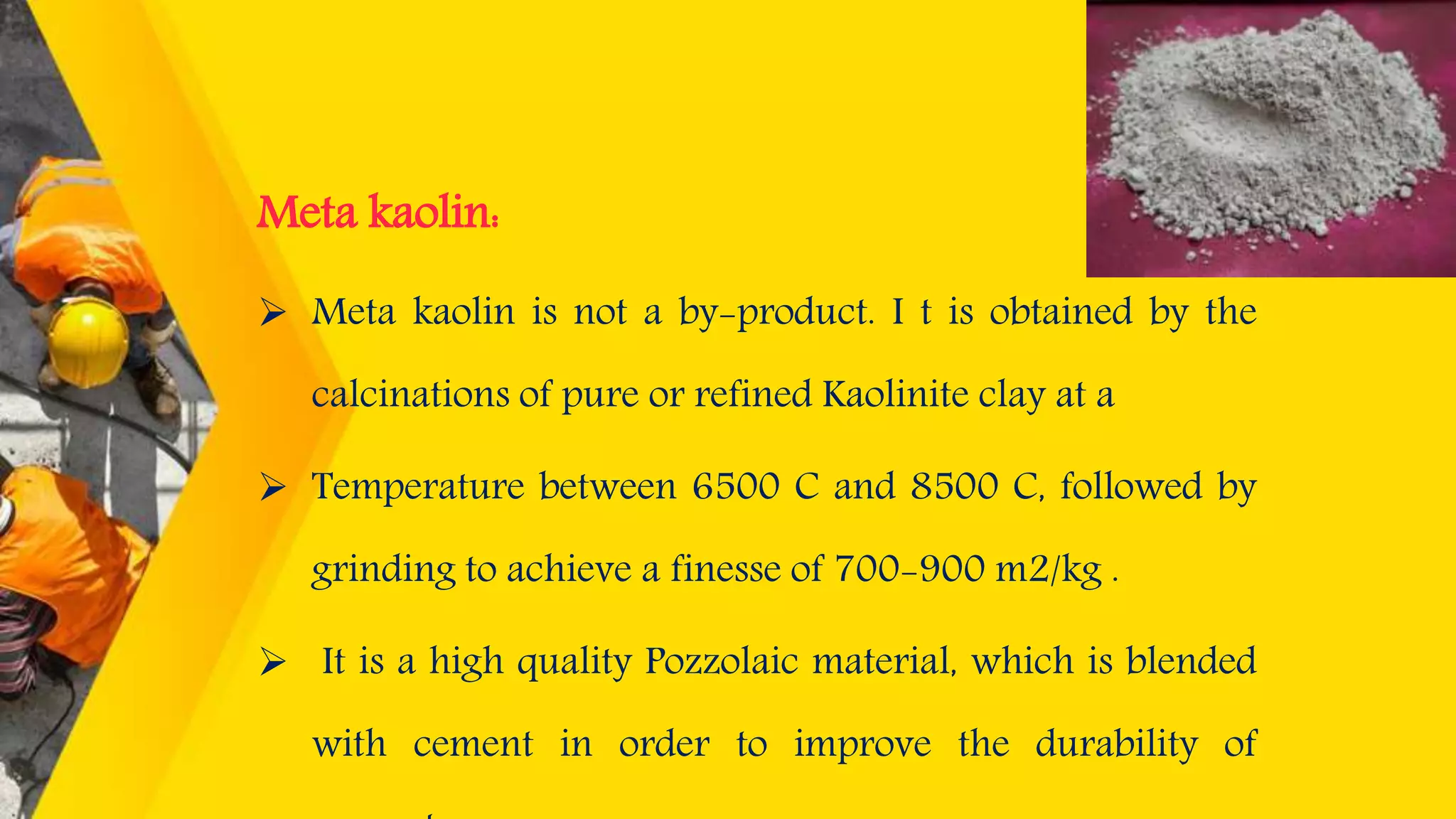 Poject Batch - 2 (1).pptx