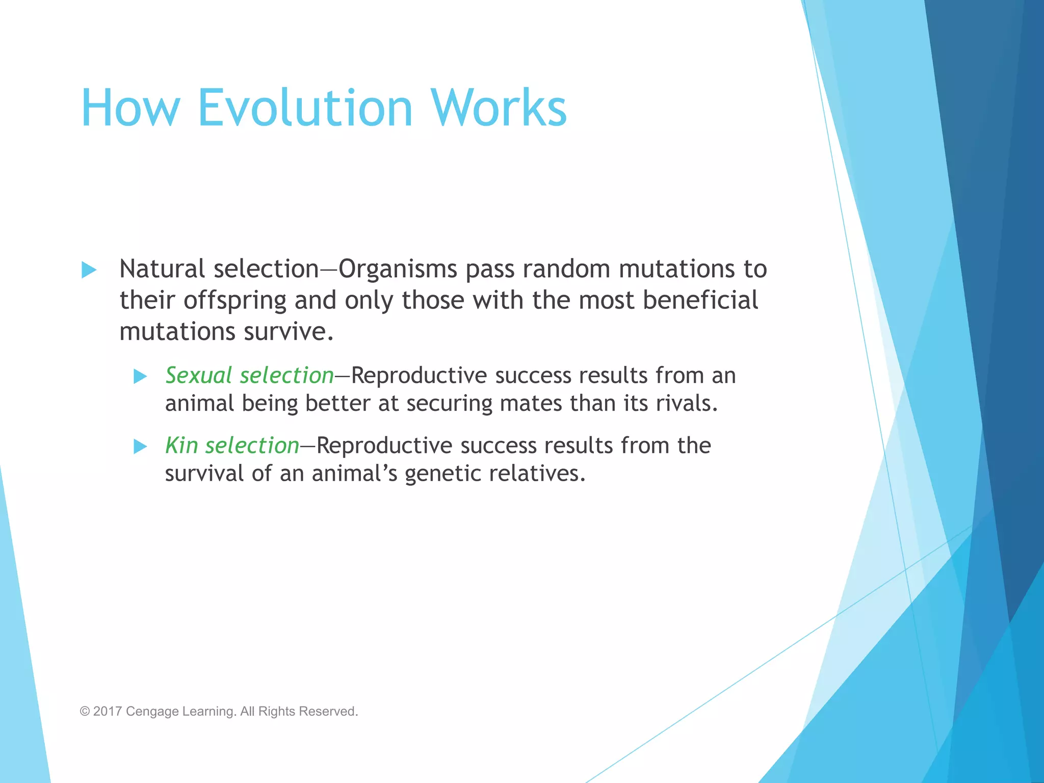 Pojman ethics 8e_ppt_ch10 | PPT
