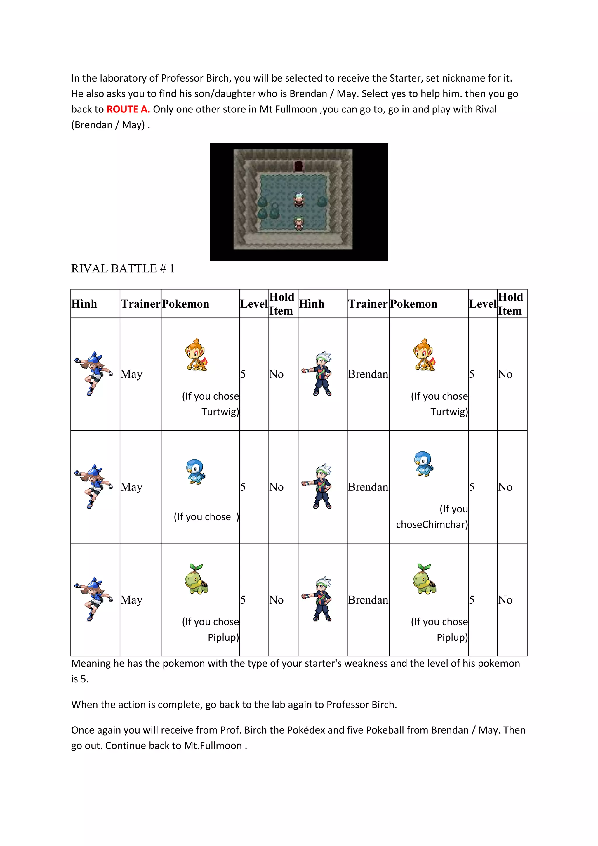 Pokemon flora sky guide (english) | DOCX