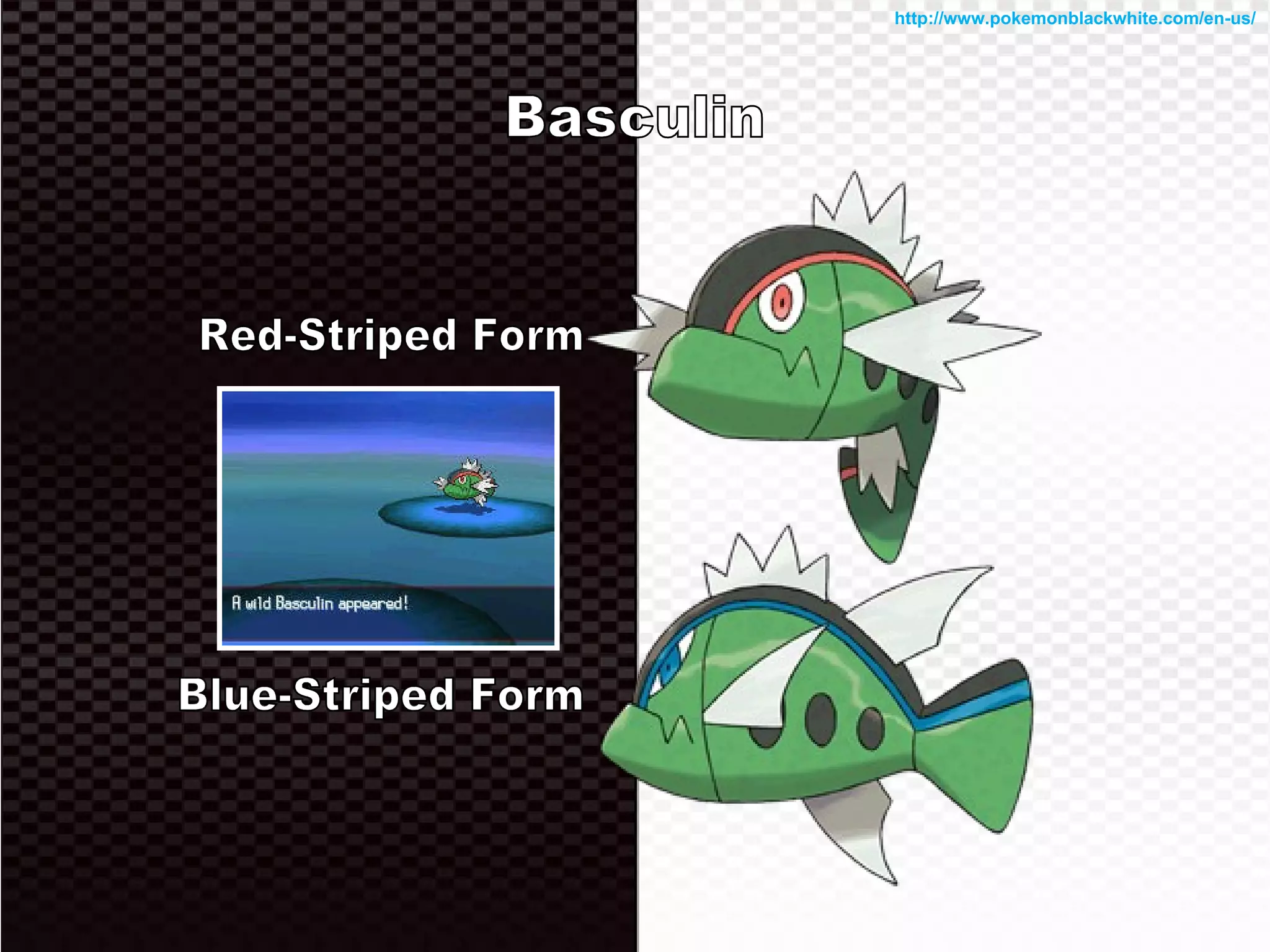 Pokemon presentation | PPT