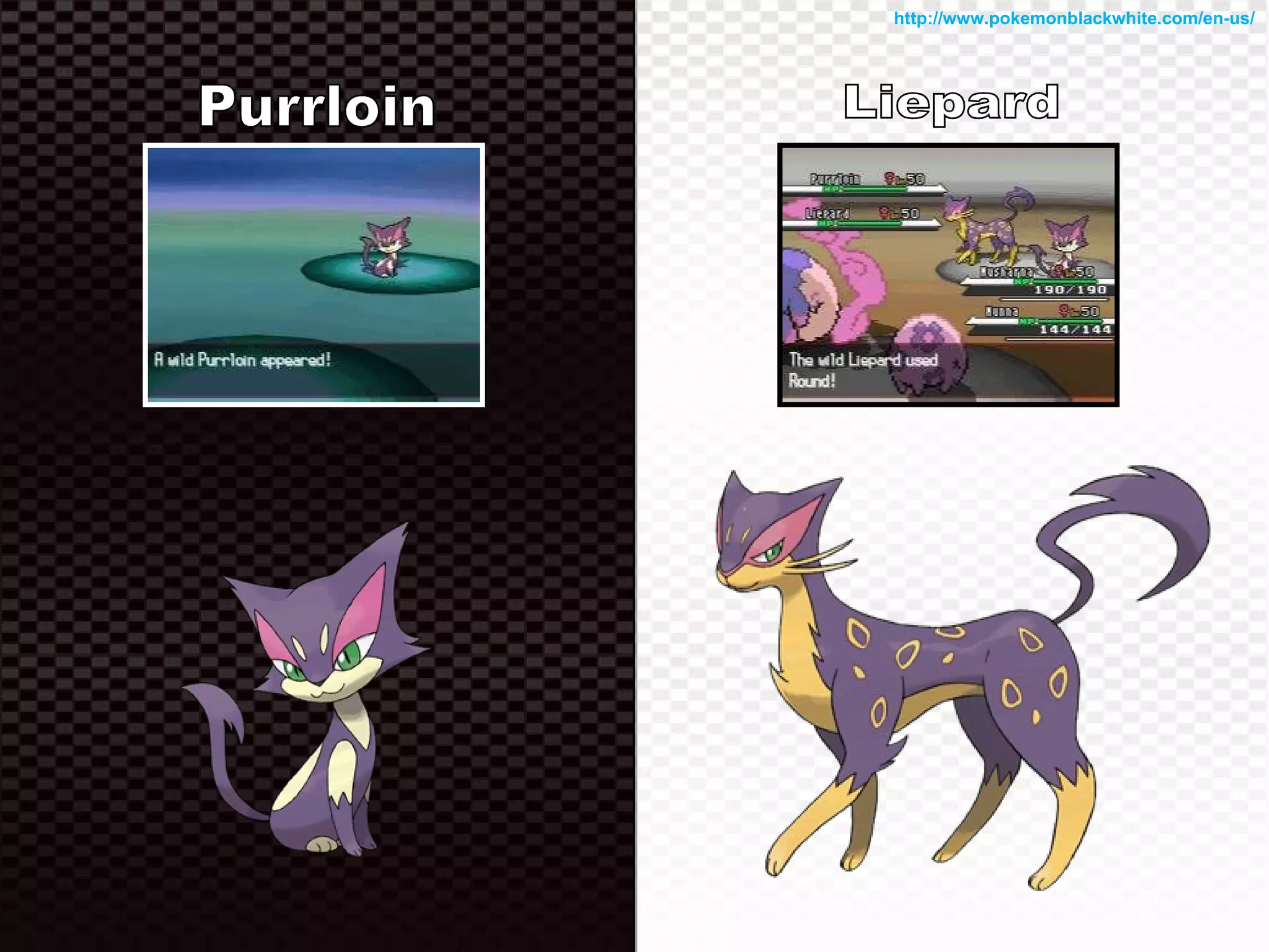 Pokemon presentation.ppt | Video Gaming