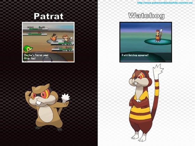 Pokemon presentation.ppt | Video Gaming