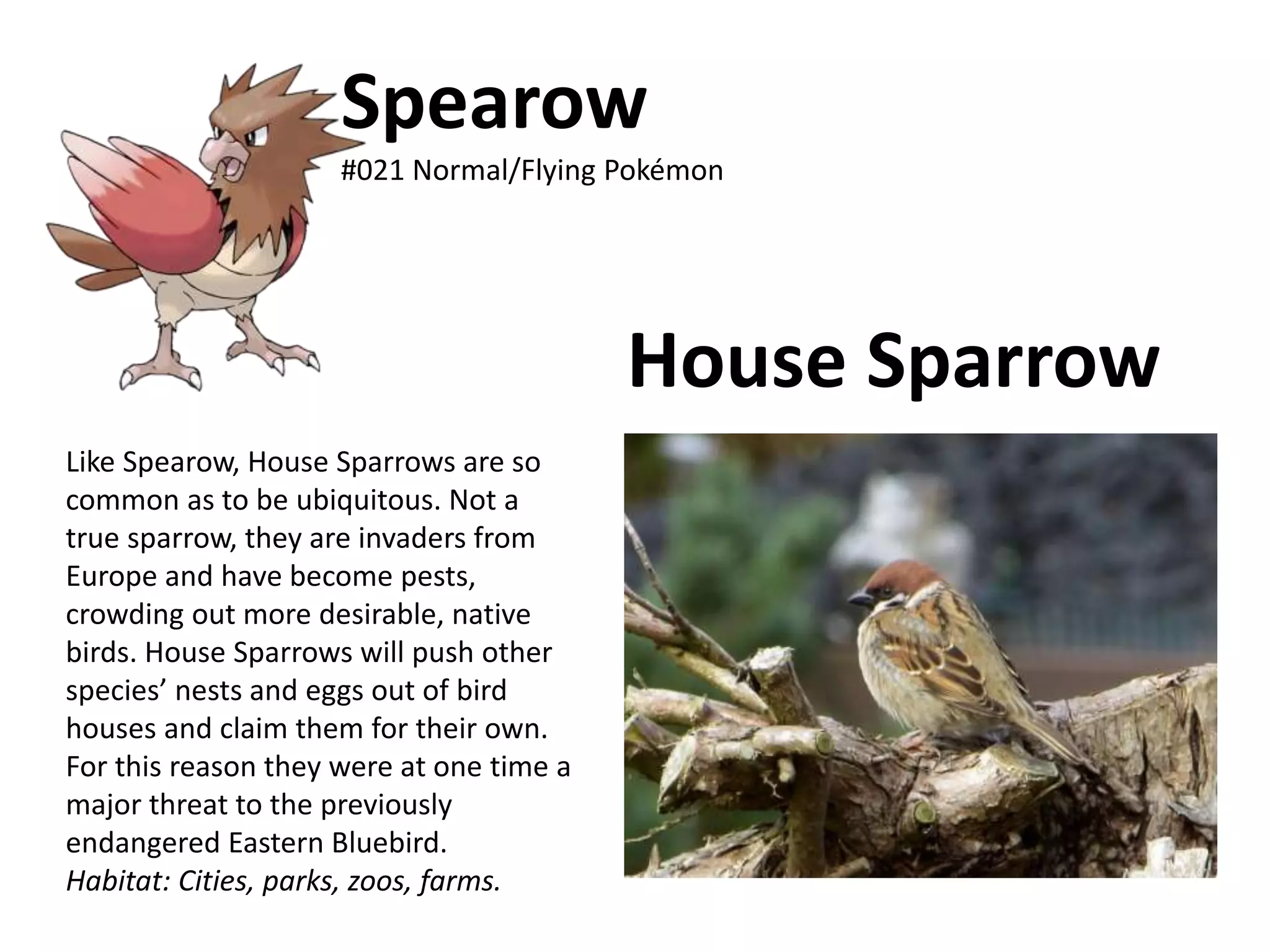 Pokemon vs Real-life Wildlife in the Metroparks | PPTX