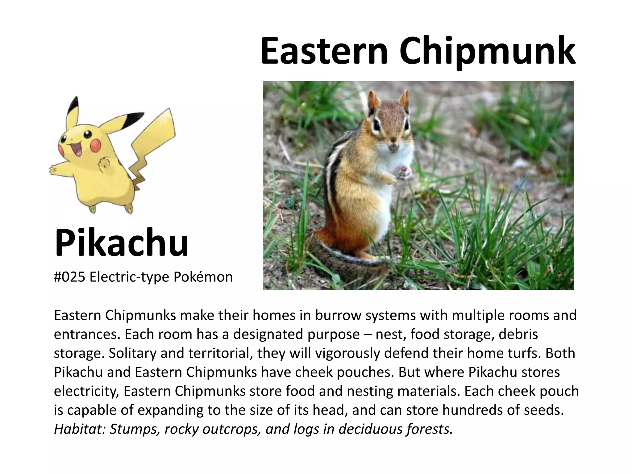 Pokemon vs Real-life Wildlife in the Metroparks | PPTX