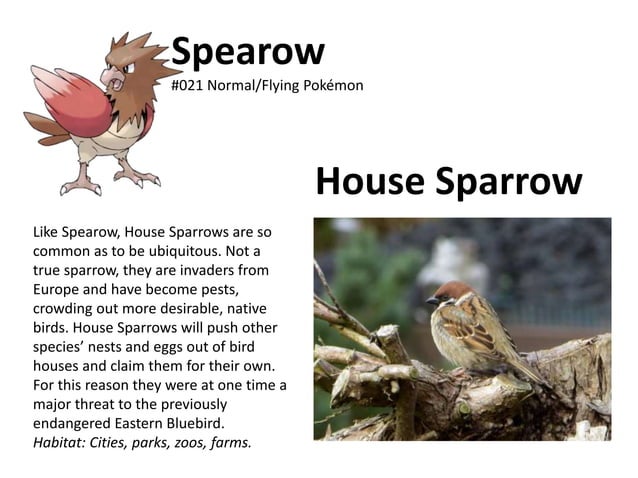 Pokemon vs Real-life Wildlife in the Metroparks | PPTX | Zoos ...