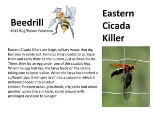 Pokemon vs Real-life Wildlife in the Metroparks | PPTX | Zoos ...